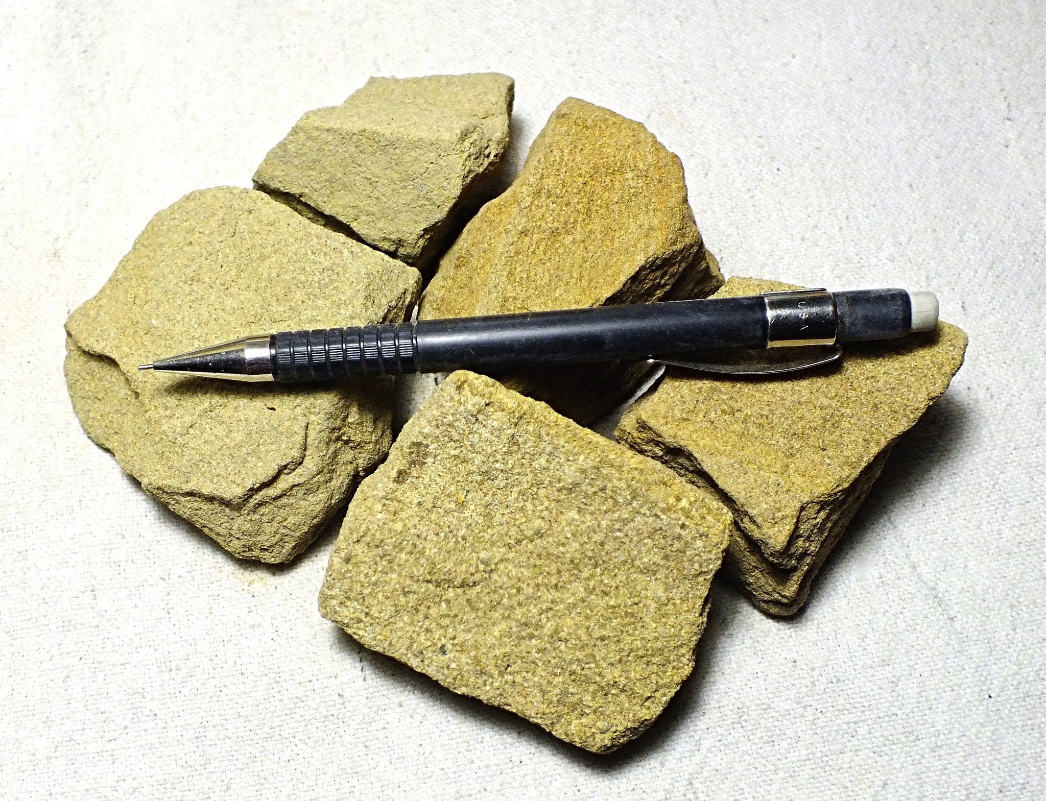 sandstone - yellow-brown medium-grained non-marine Miocene sandstone ...