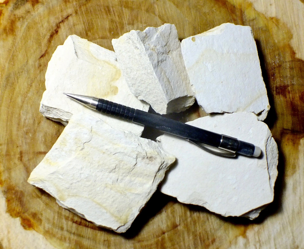 shale - teaching student specimens of light tan diatomaceous shale fro ...