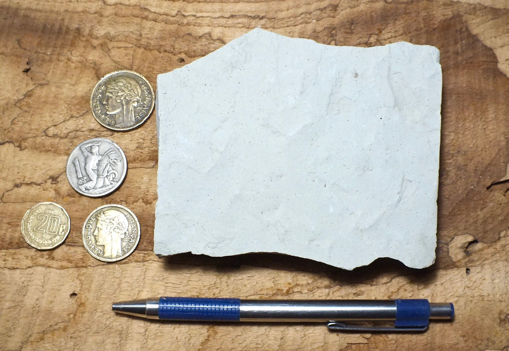 shale - hard tan shale from the Green River Formation, an Eocene lacus ...