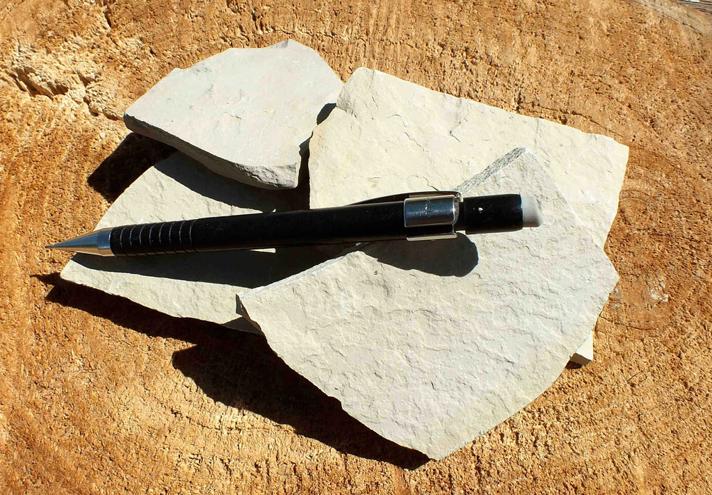 shale - student specimens of a tan limey shale from the Jurassic Carme ...