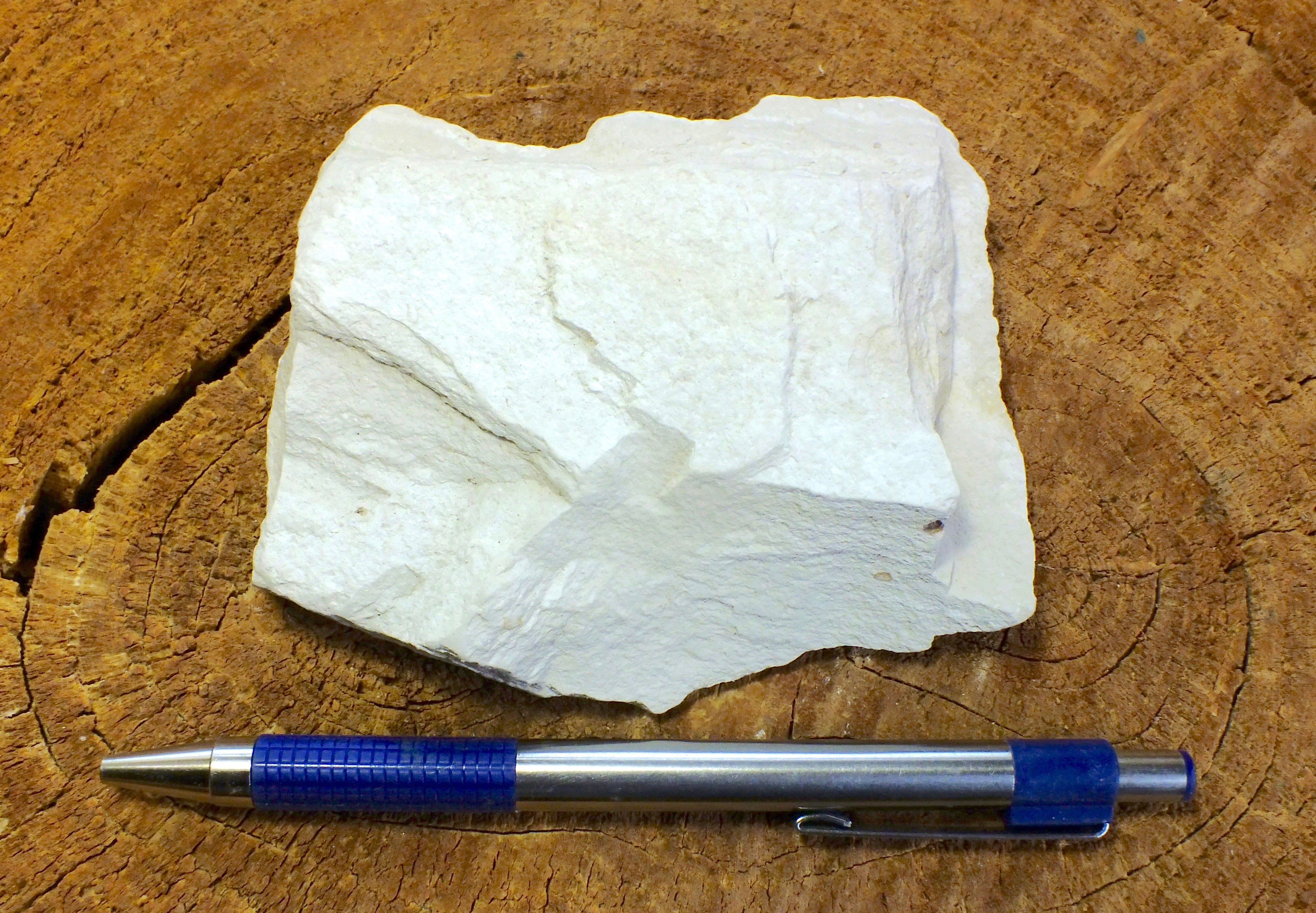 shale - teaching hand specimen of light tan diatomaceous shale from th ...