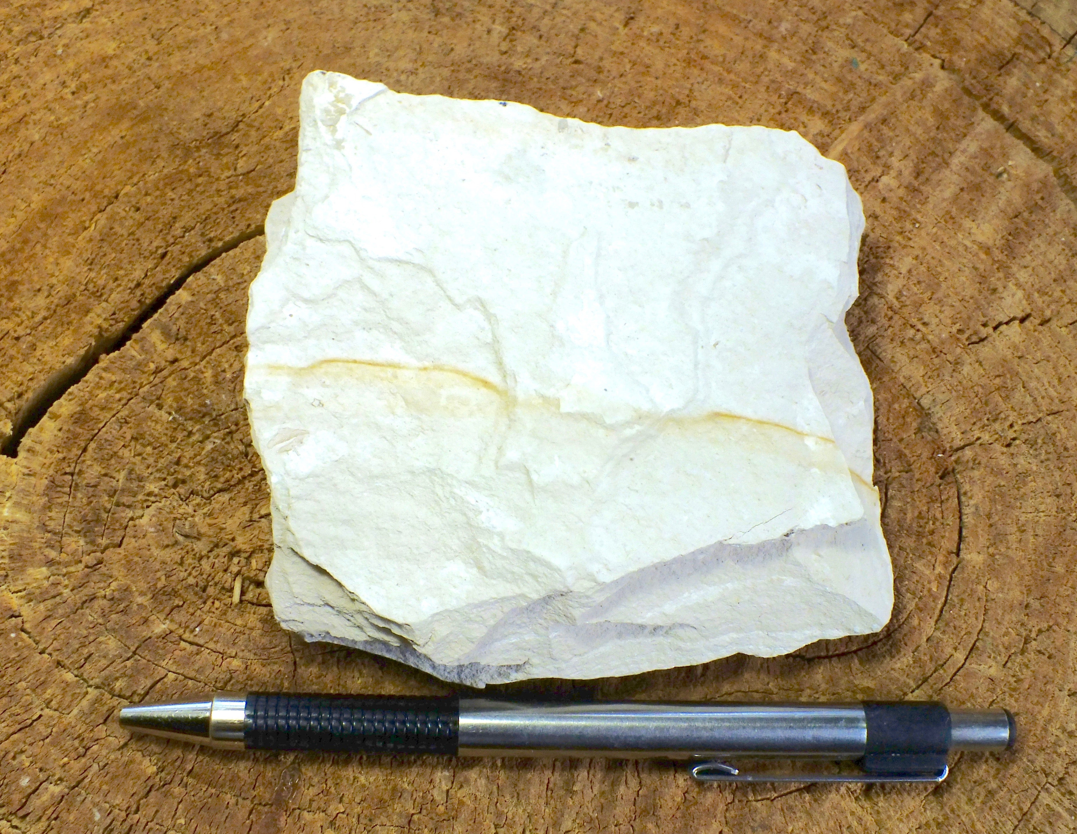 shale - teaching hand specimen of light tan diatomaceous shale from th ...