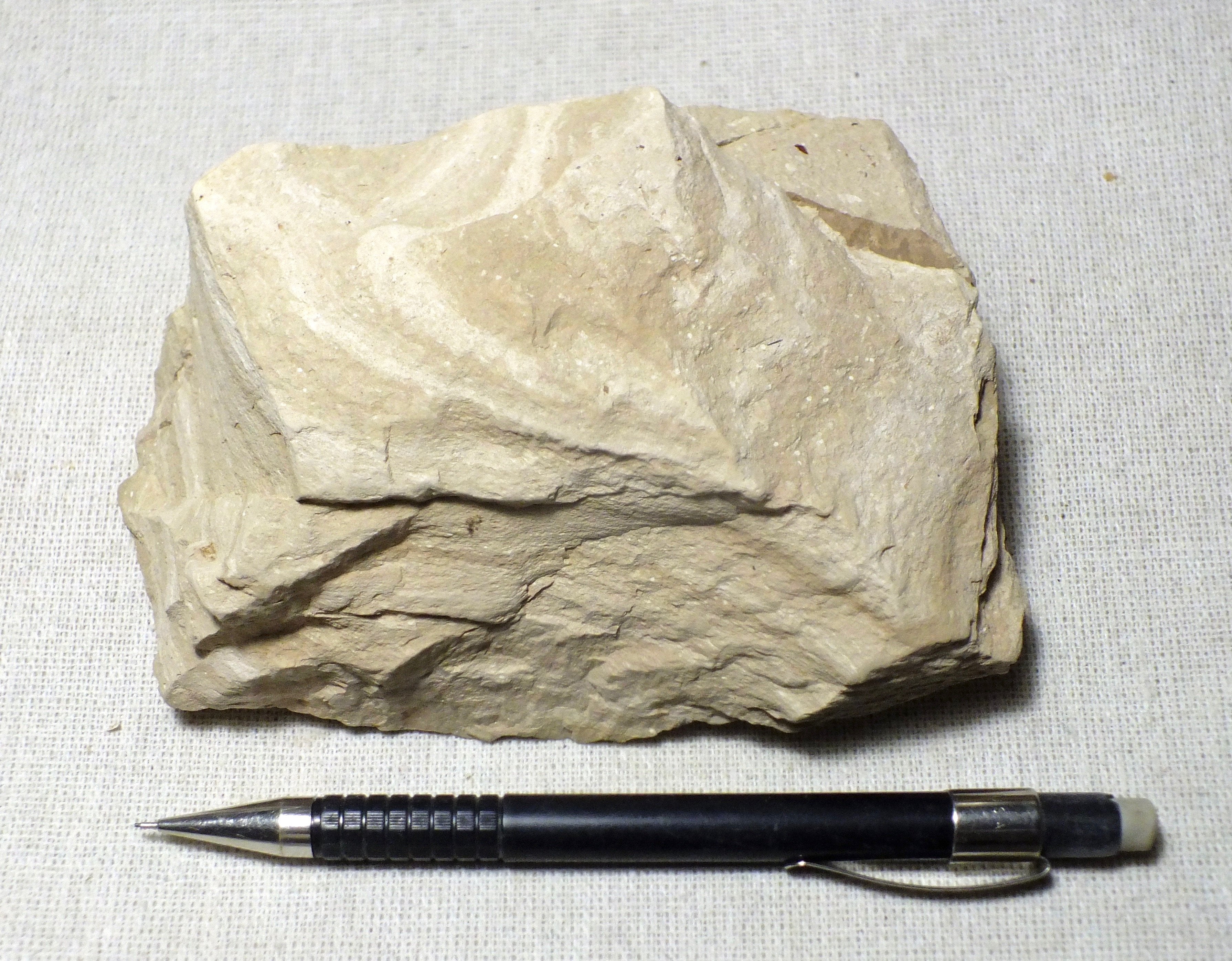 sedimentary rocks – Page 2 – Geological Specimen Supply