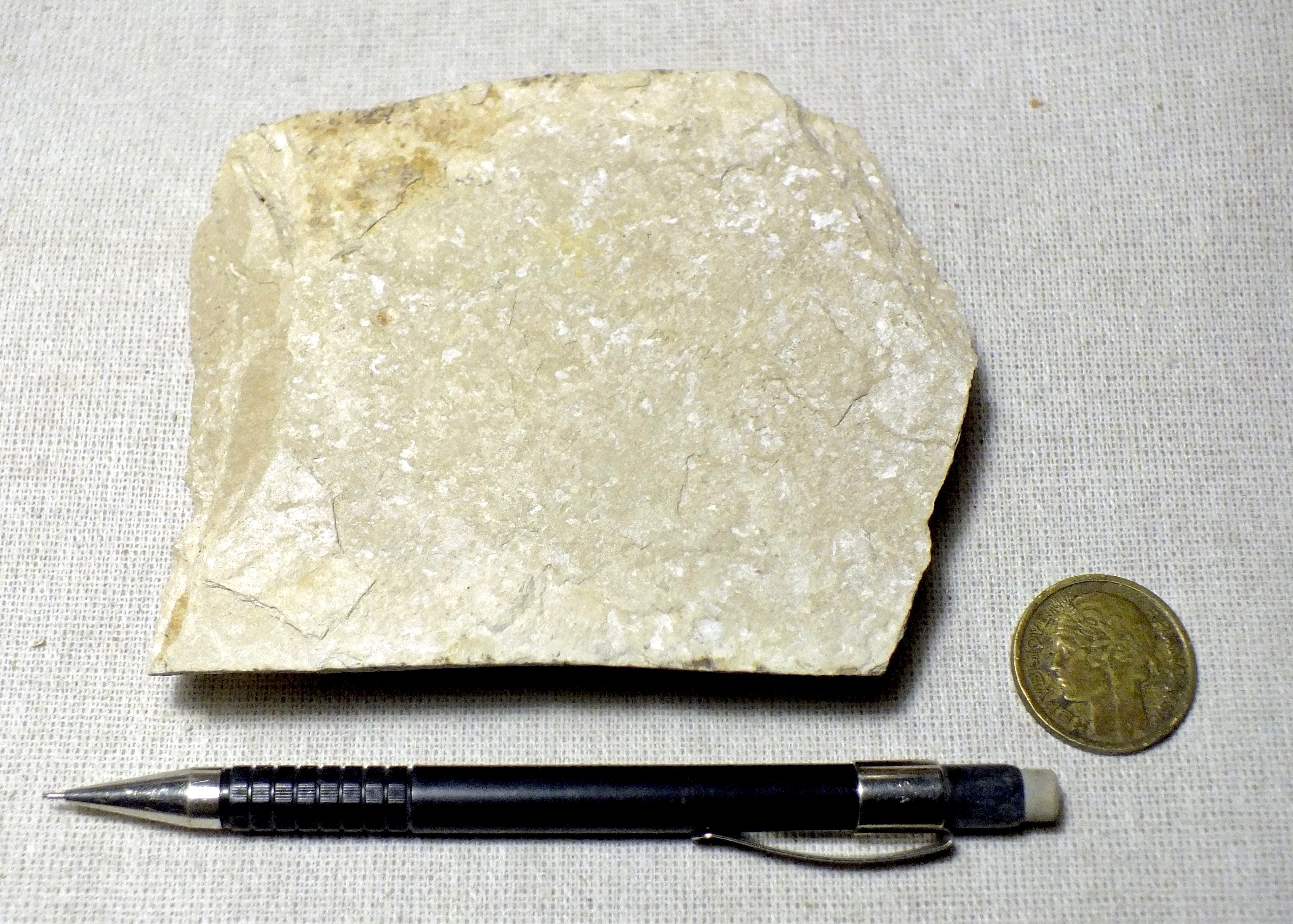 shale - teaching hand specimen of tan diatomaceous shale from the Mont ...