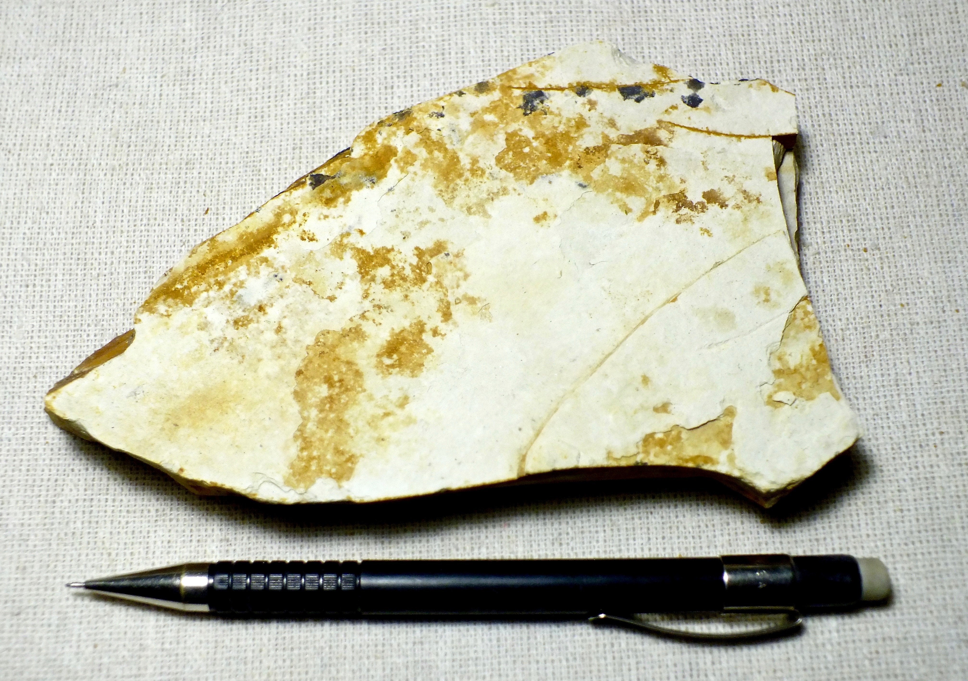 shale - tan siliceous Altamira Shale from the Miocene of California ...