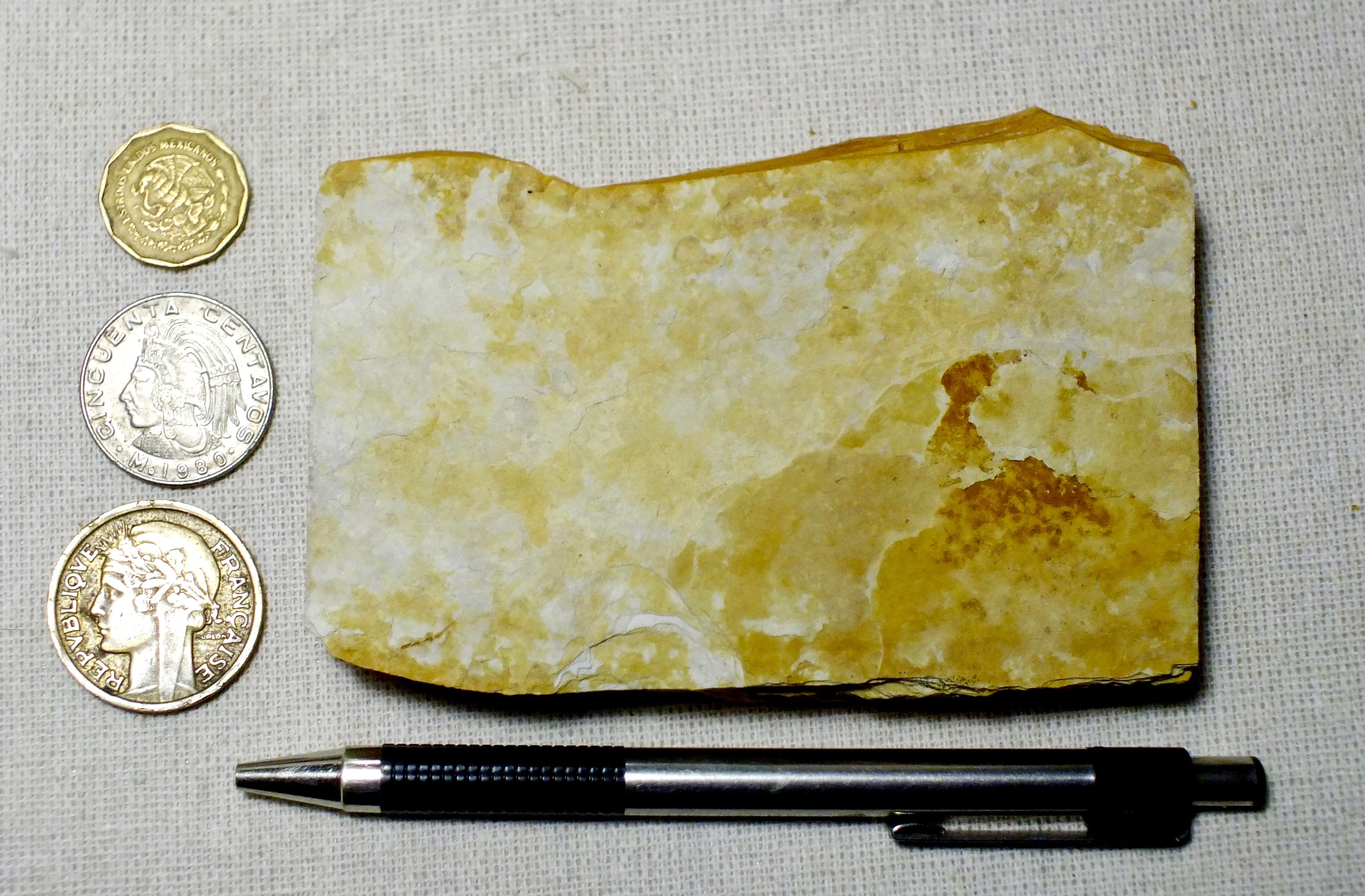 shale - tan siliceous Altamira Shale from the Miocene of California ...